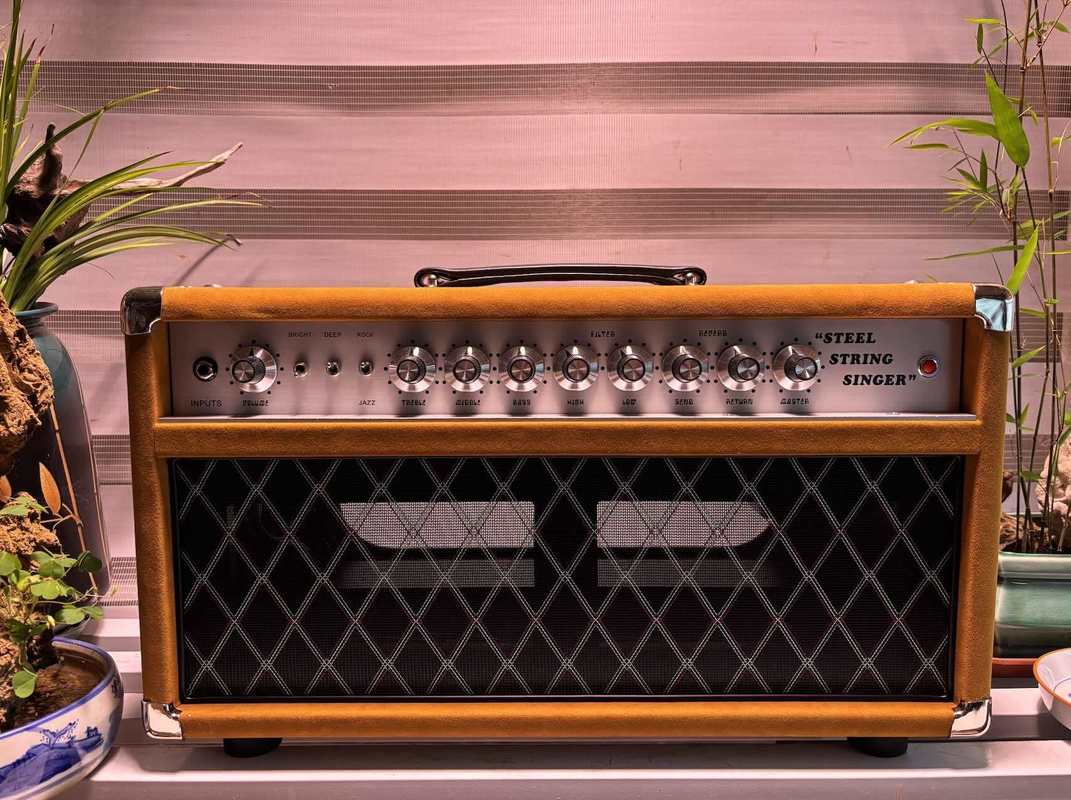 Custom Dumble CLONE Steel String Singer Head 20W 50W 100W with Suede ...